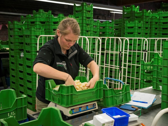 Hoferlebnisse Hochwald-Spargel